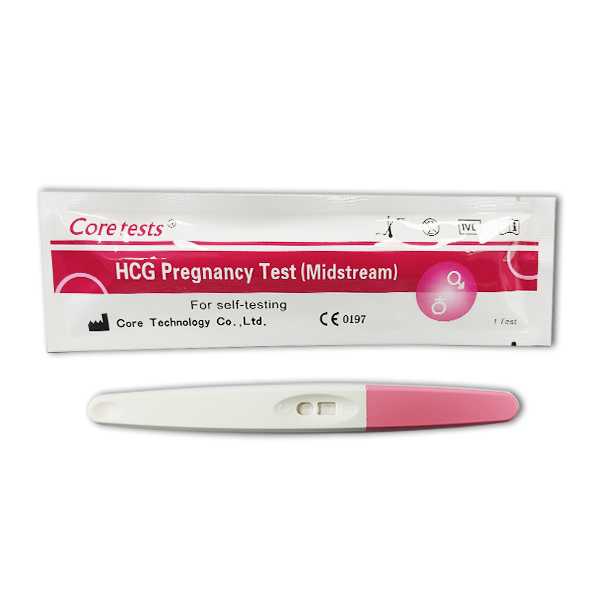 pregnancy test kit